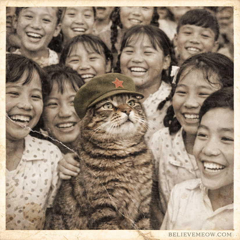 About Chairman Meow: Artist, Warrior Poet, Furry Dictator